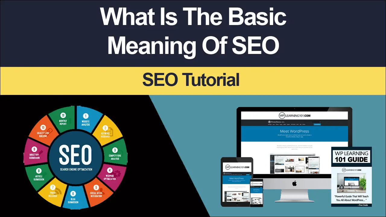 Learn Basic SEO